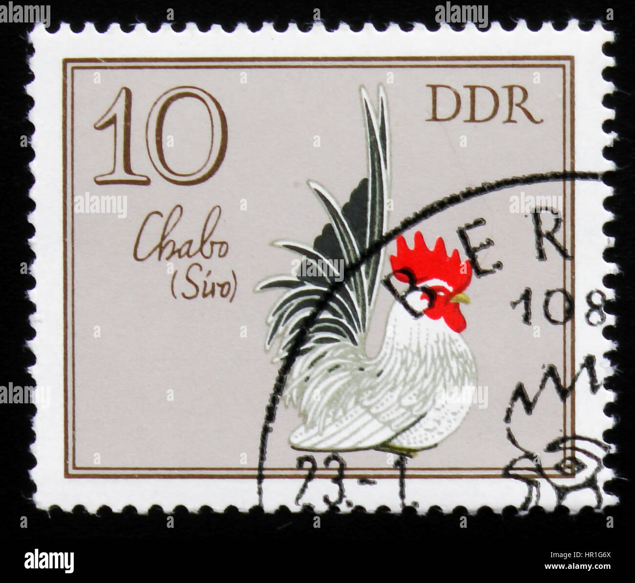 MOSCOW, RUSSIA - FEBRUARY 19, 2017: A Stamp shows image of a rooster ...