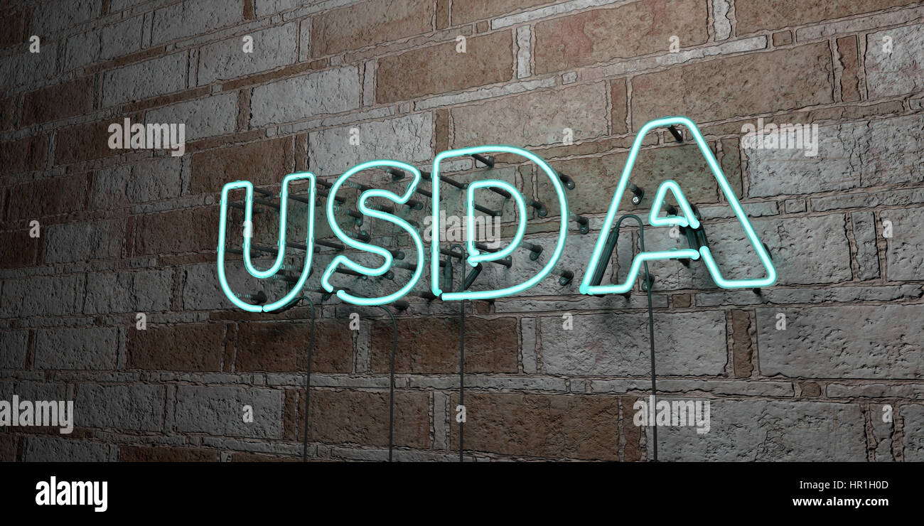 USDA - Glowing Neon Sign on stonework wall - 3D rendered royalty free ...