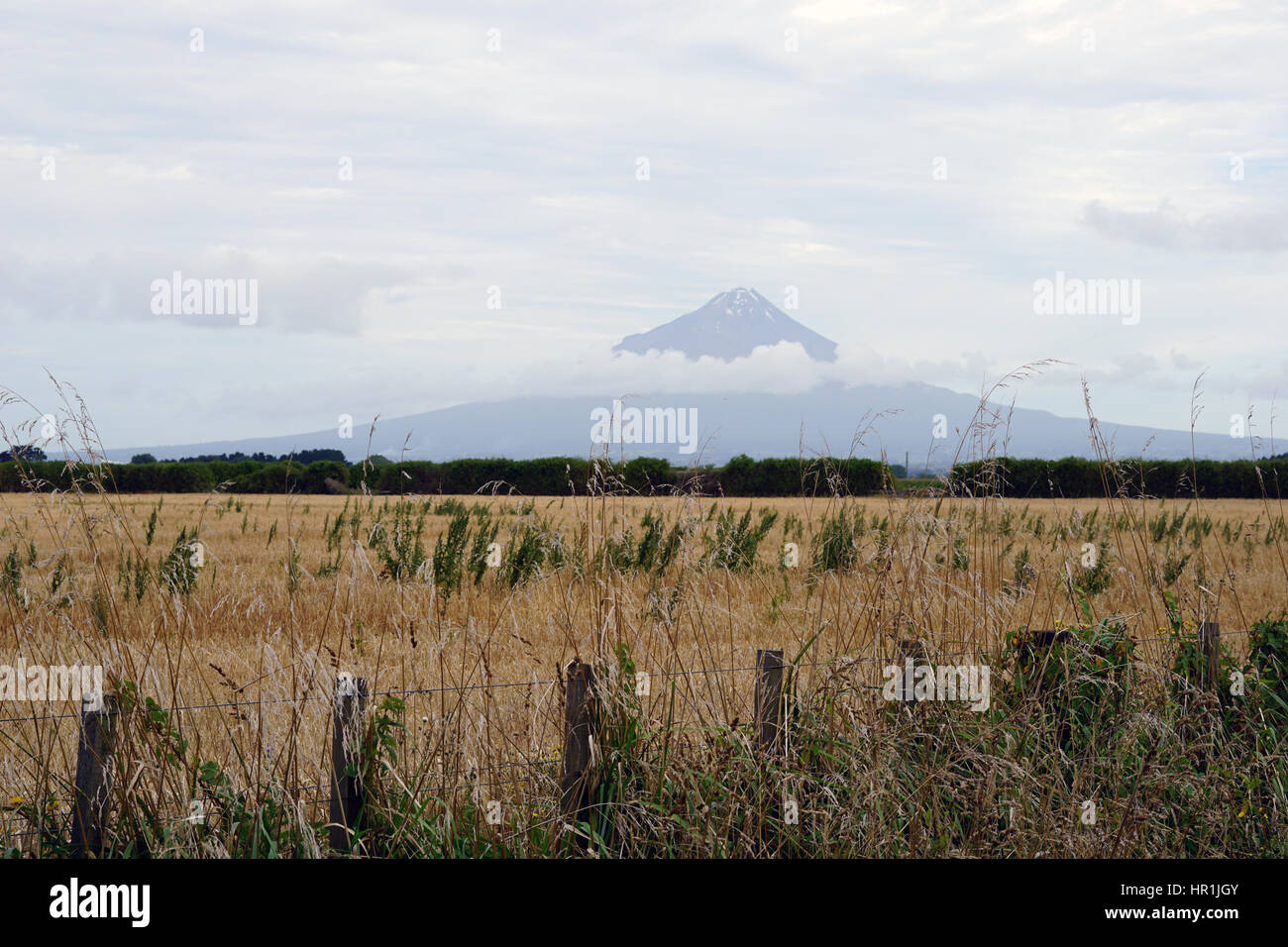 Mount Taranaki, or Mount Egmont, active volcano in the West Coast of ...