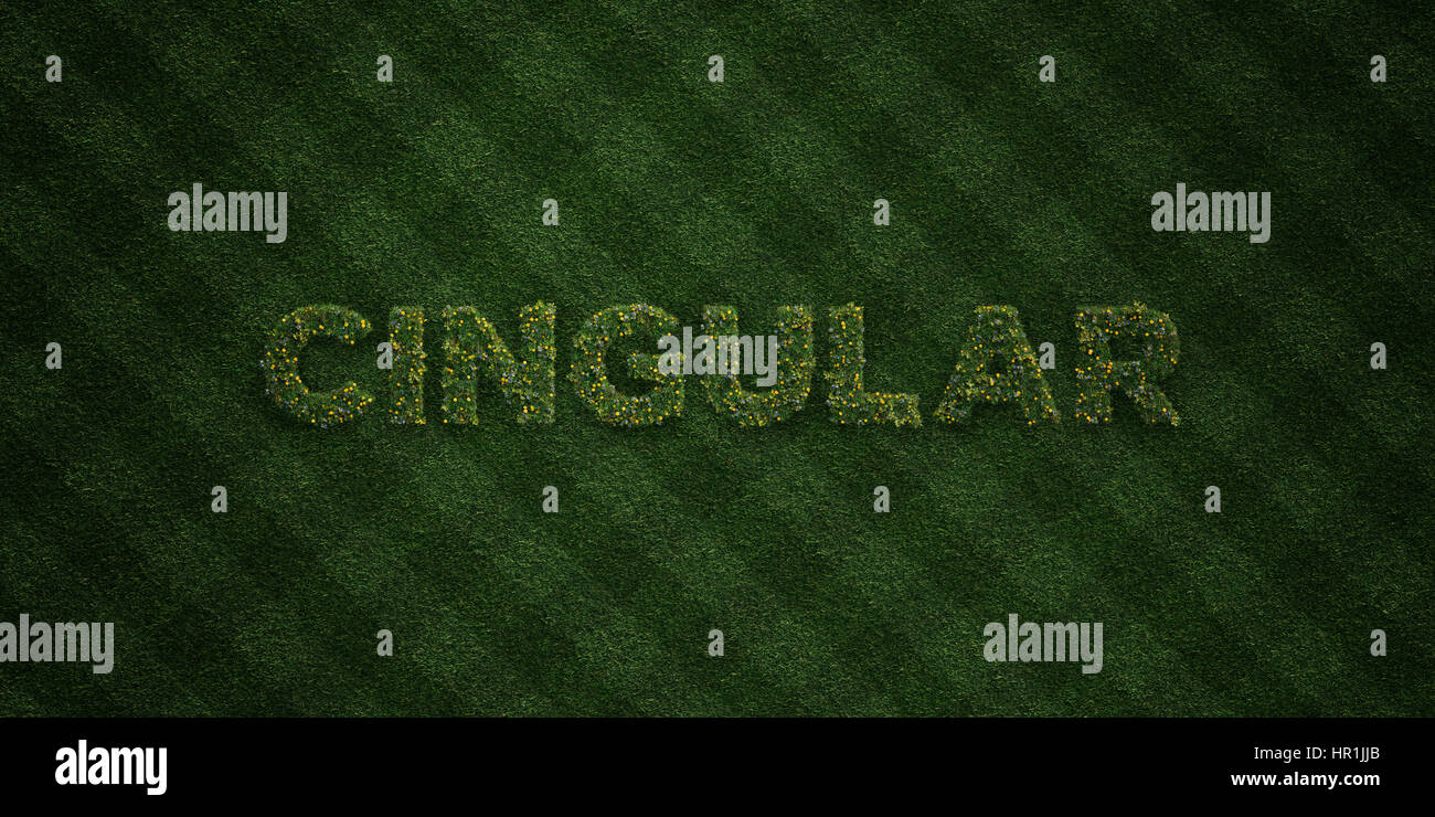 CINGULAR - fresh Grass letters with flowers and dandelions - 3D ...
