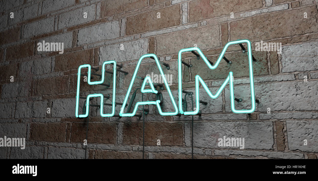 HAM - Glowing Neon Sign on stonework wall - 3D rendered royalty free ...