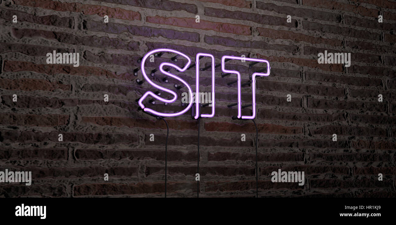 SIT -Realistic Neon Sign on Brick Wall background - 3D rendered royalty ...