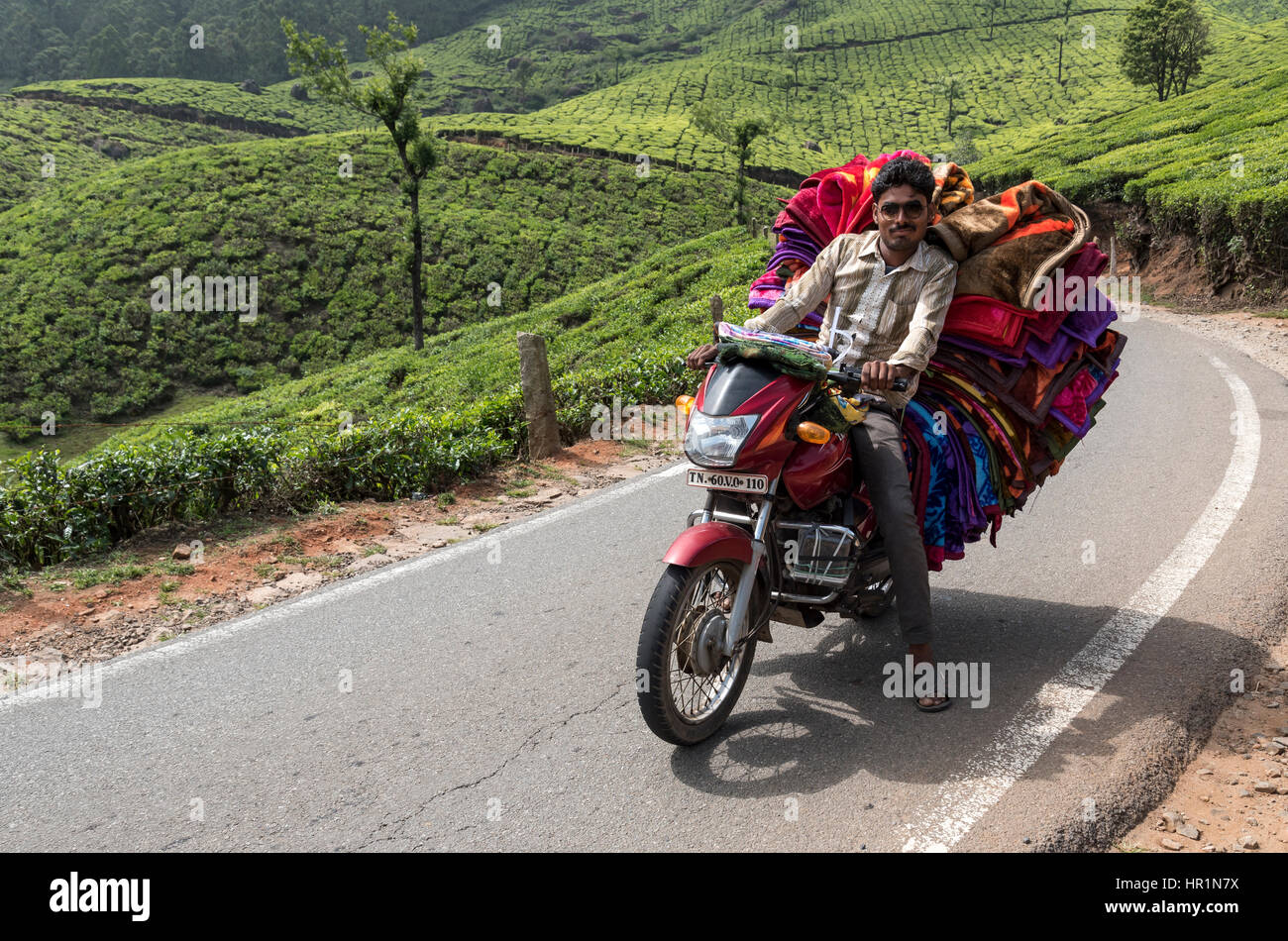 Man on motorcycle, Lockhart Tea Plantation, Devikulam, Munnar, Kerala ...