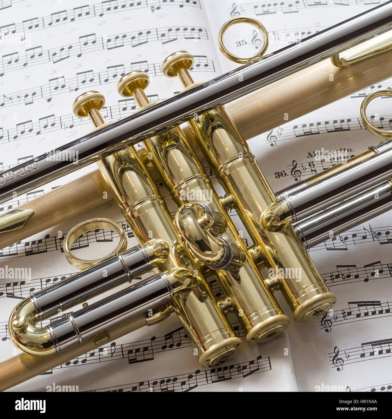 Playing cornet hi-res stock photography and images - Alamy