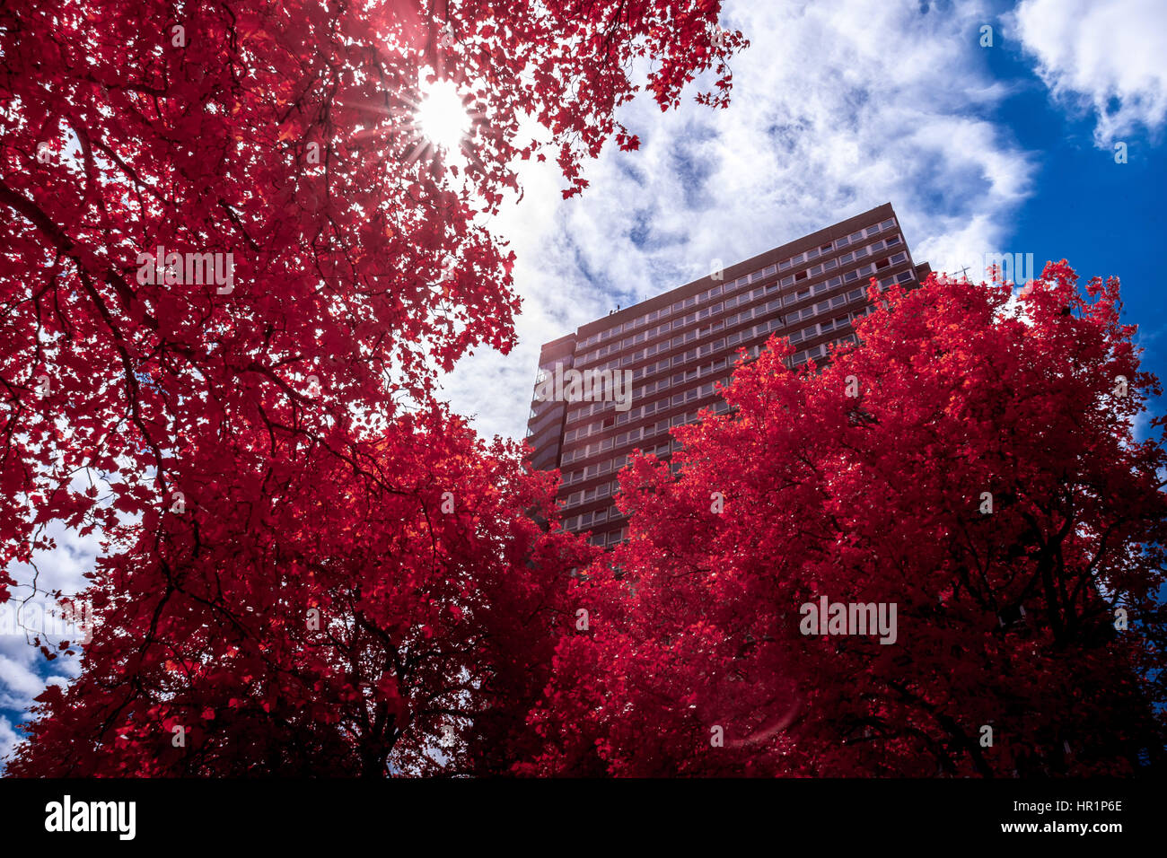 Abbyfield estate hi-res stock photography and images - Alamy