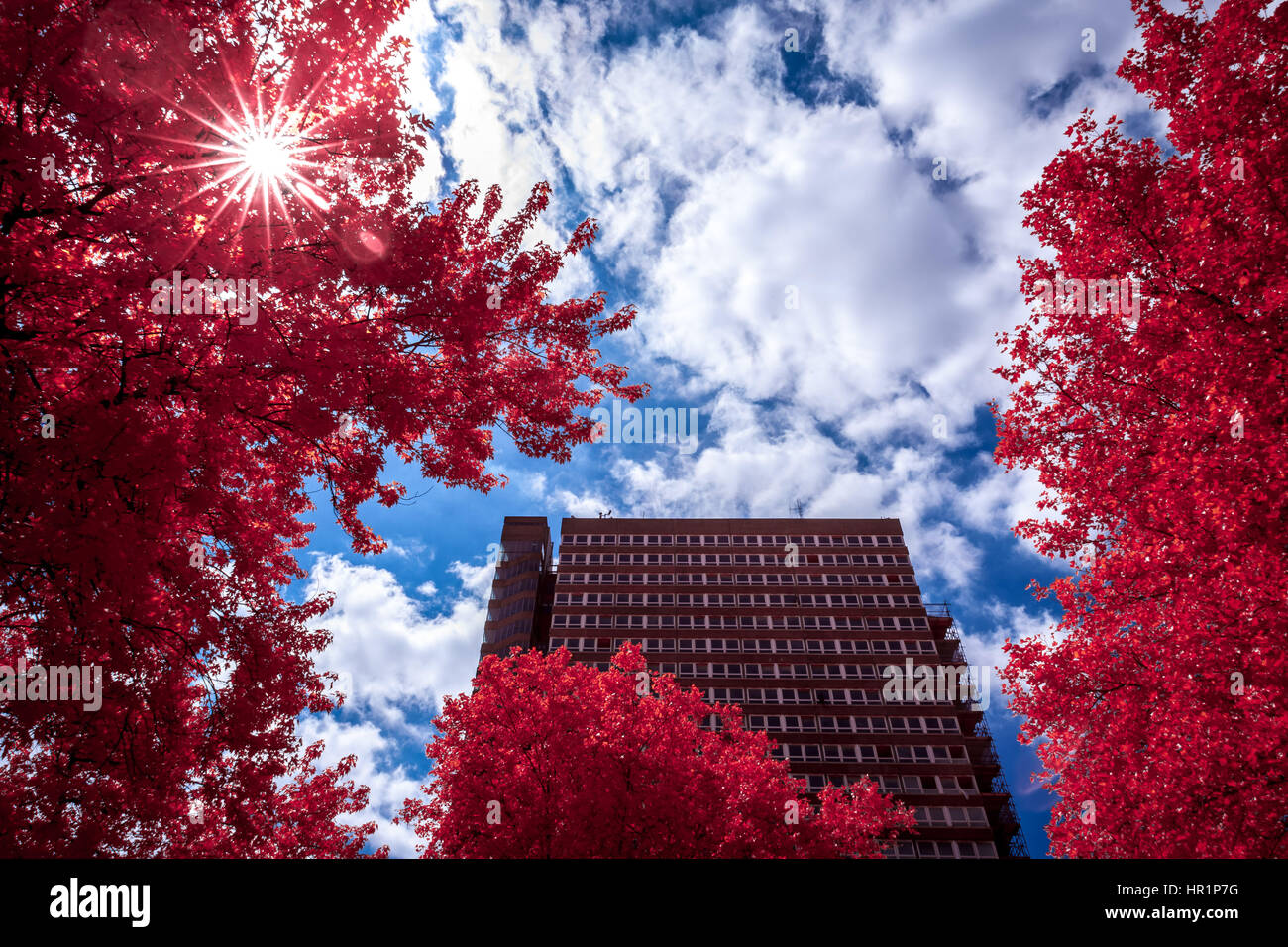 Abbyfield estate hi-res stock photography and images - Alamy