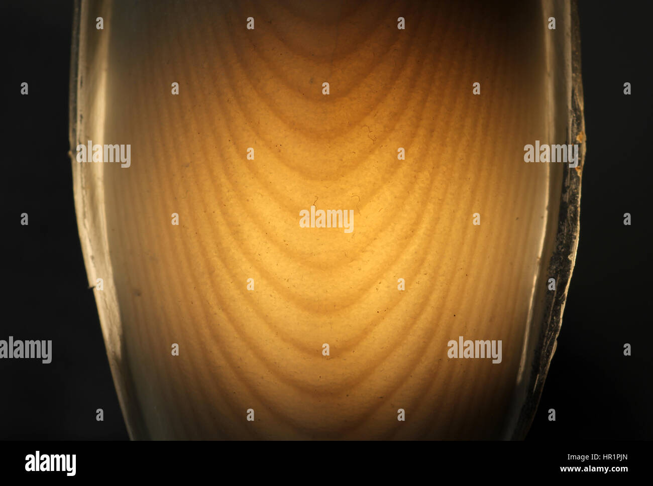 Meersham or cuttlefish bone hi-res stock photography and images - Alamy