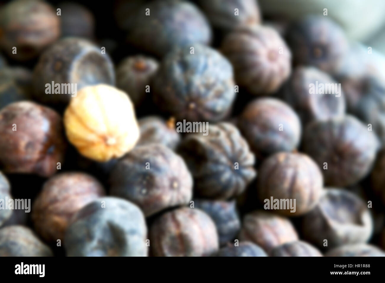 in iran blur typical dry lemon in abstract pattern background flavor ...