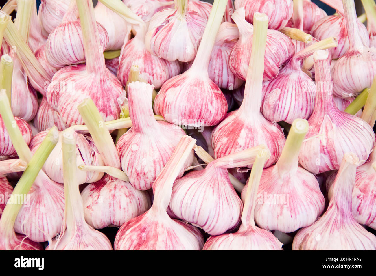 Photo of background with fresh white garlic Stock Photo - Alamy