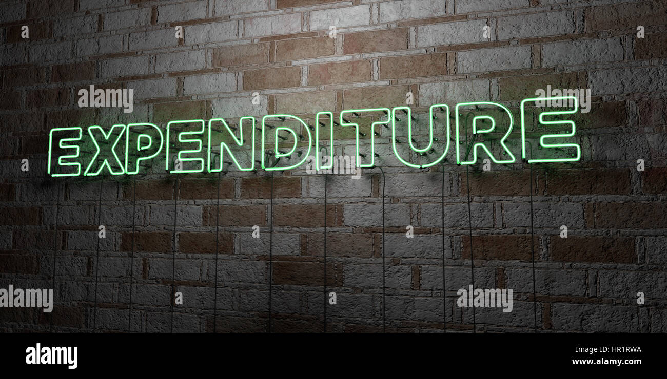EXPENDITURE - Glowing Neon Sign on stonework wall - 3D rendered royalty ...