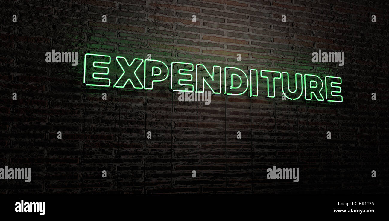 EXPENDITURE -Realistic Neon Sign on Brick Wall background - 3D rendered ...
