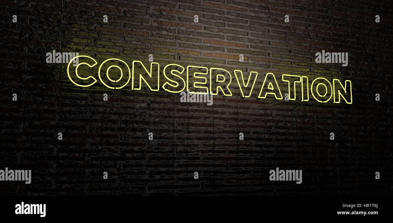 CONSERVATION -Realistic Neon Sign on Brick Wall background - 3D ...