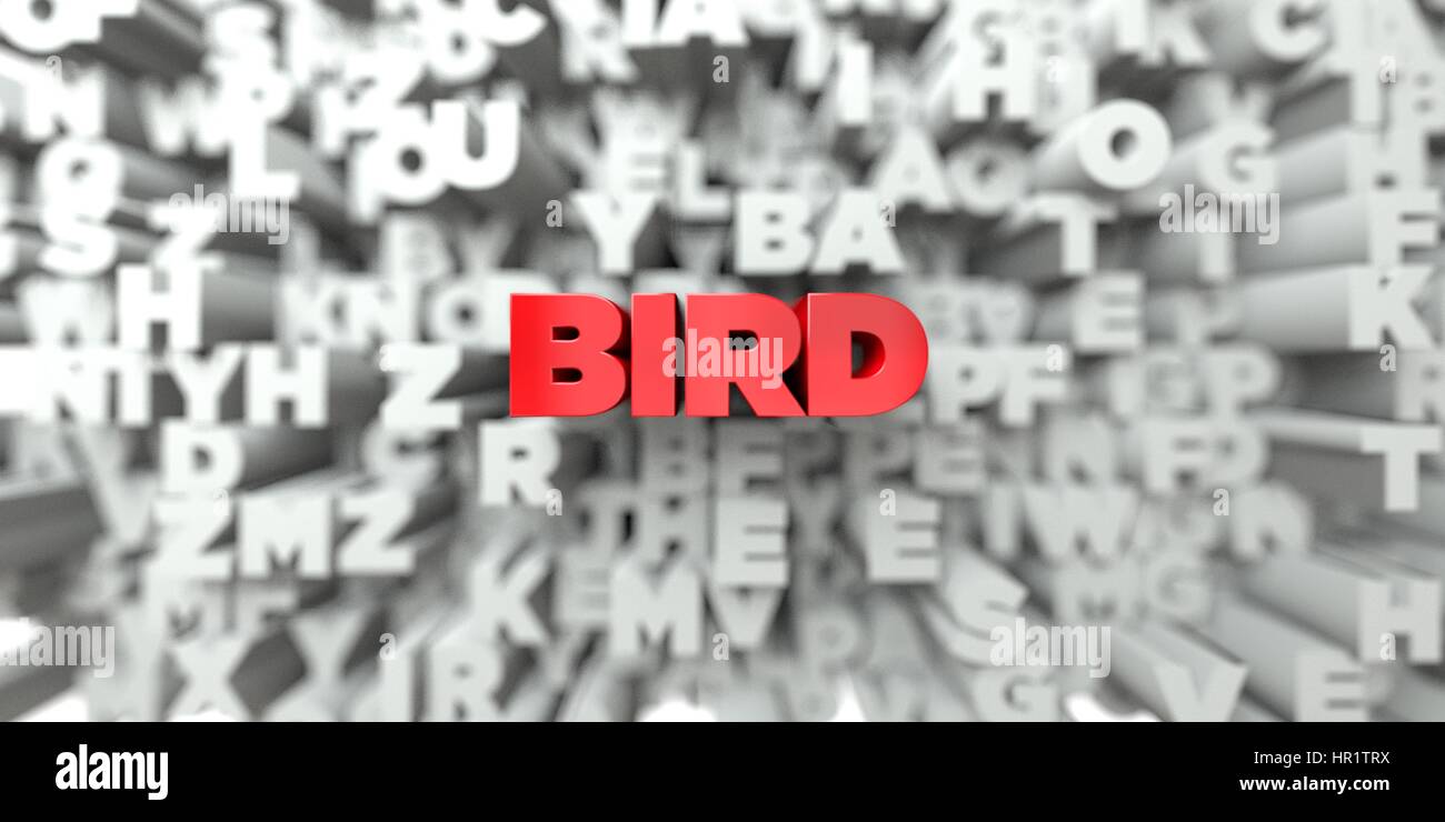 BIRD - Red text on typography background - 3D rendered royalty free ...