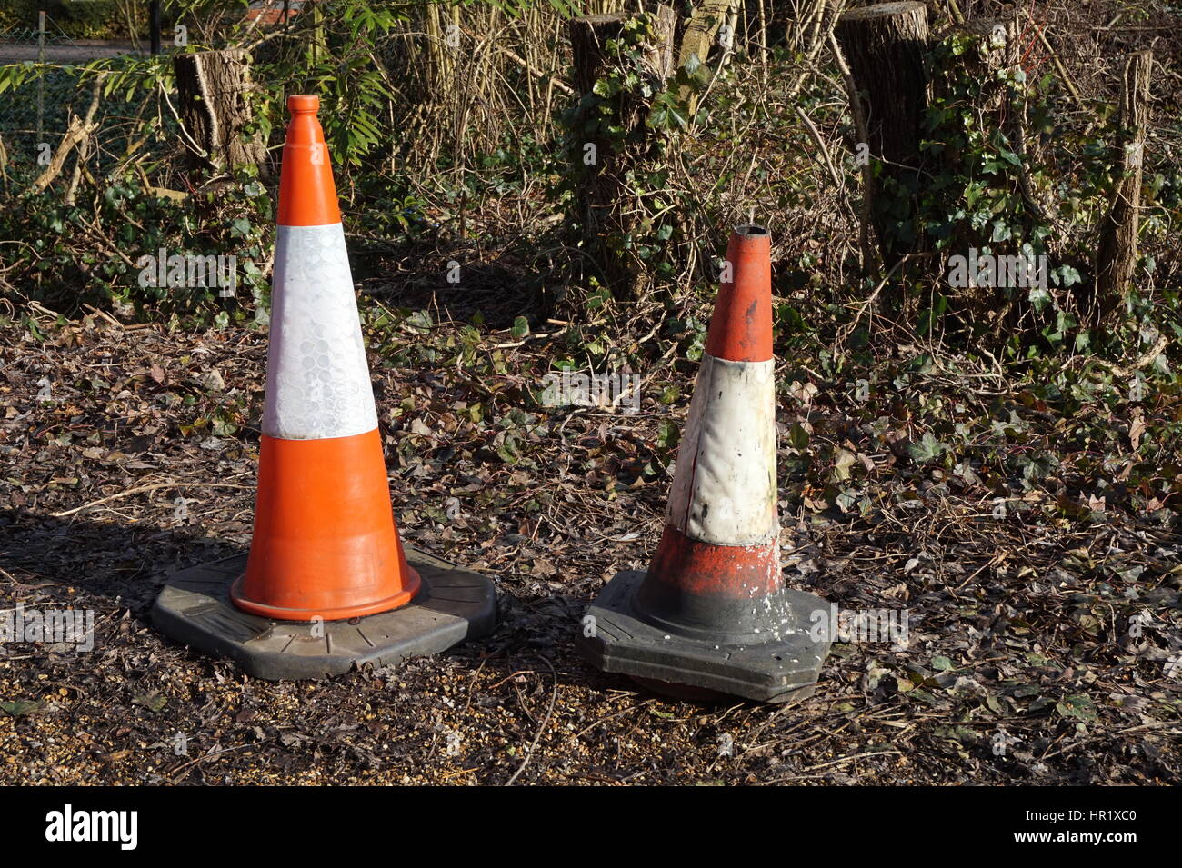 Traffic cones abandoned on waste land near woods Stock Photo - Alamy