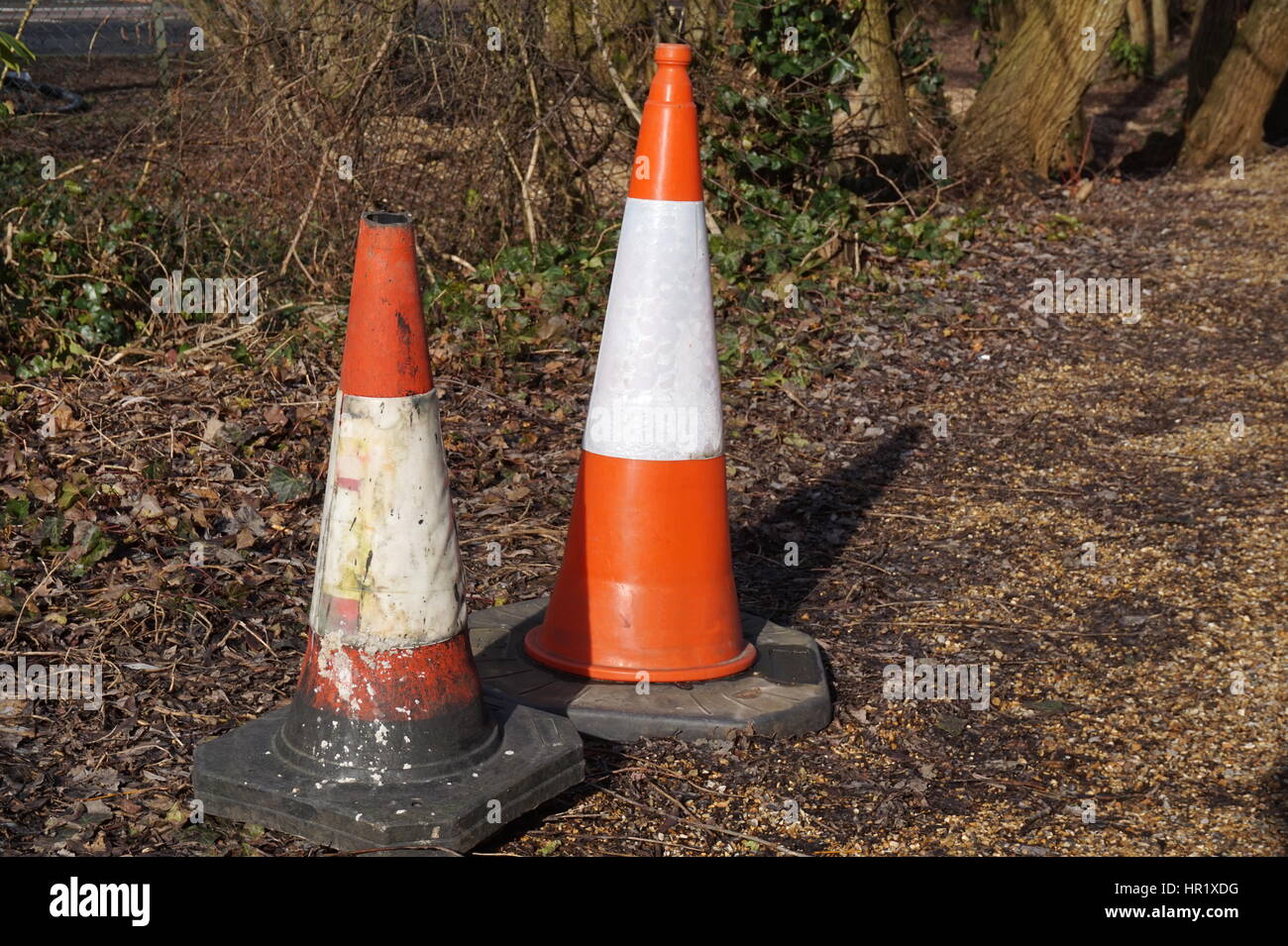 Traffic cones abandoned on waste land near woods Stock Photo - Alamy