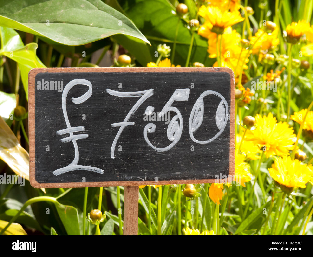price sign for cut flowers on florist market stall Stock Photo - Alamy