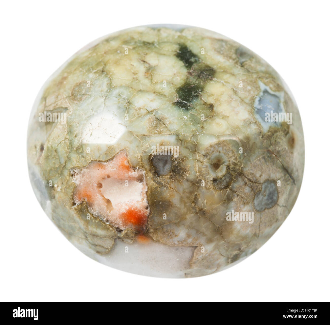 Orbicular jasper mineral stone hi-res stock photography and images - Alamy