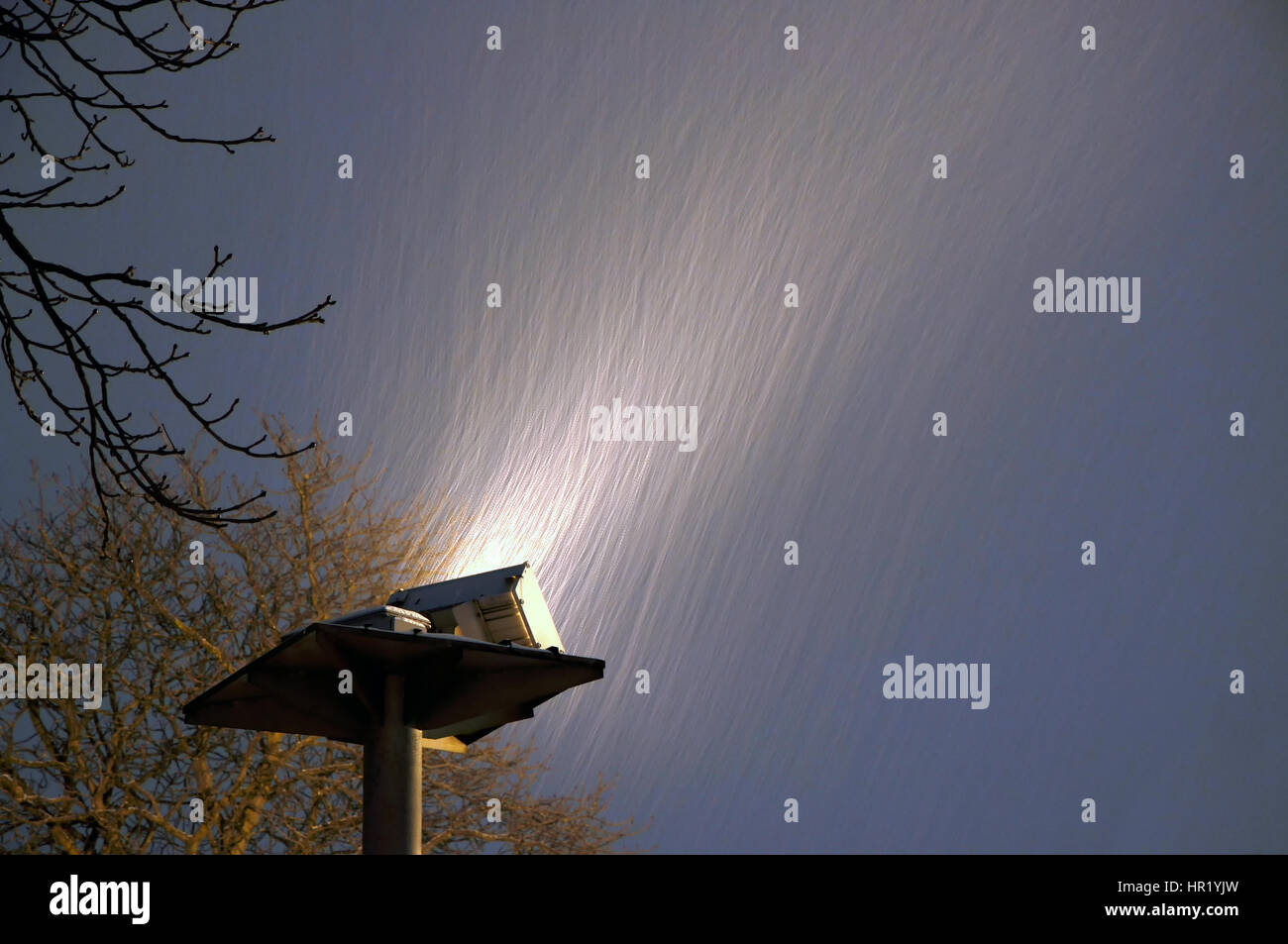 Heavy snowfall at night in the city. Long exposure Stock Photo - Alamy