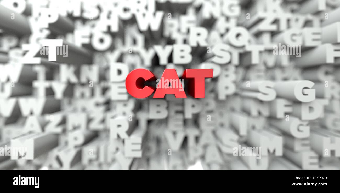 CAT - Red text on typography background - 3D rendered royalty free ...