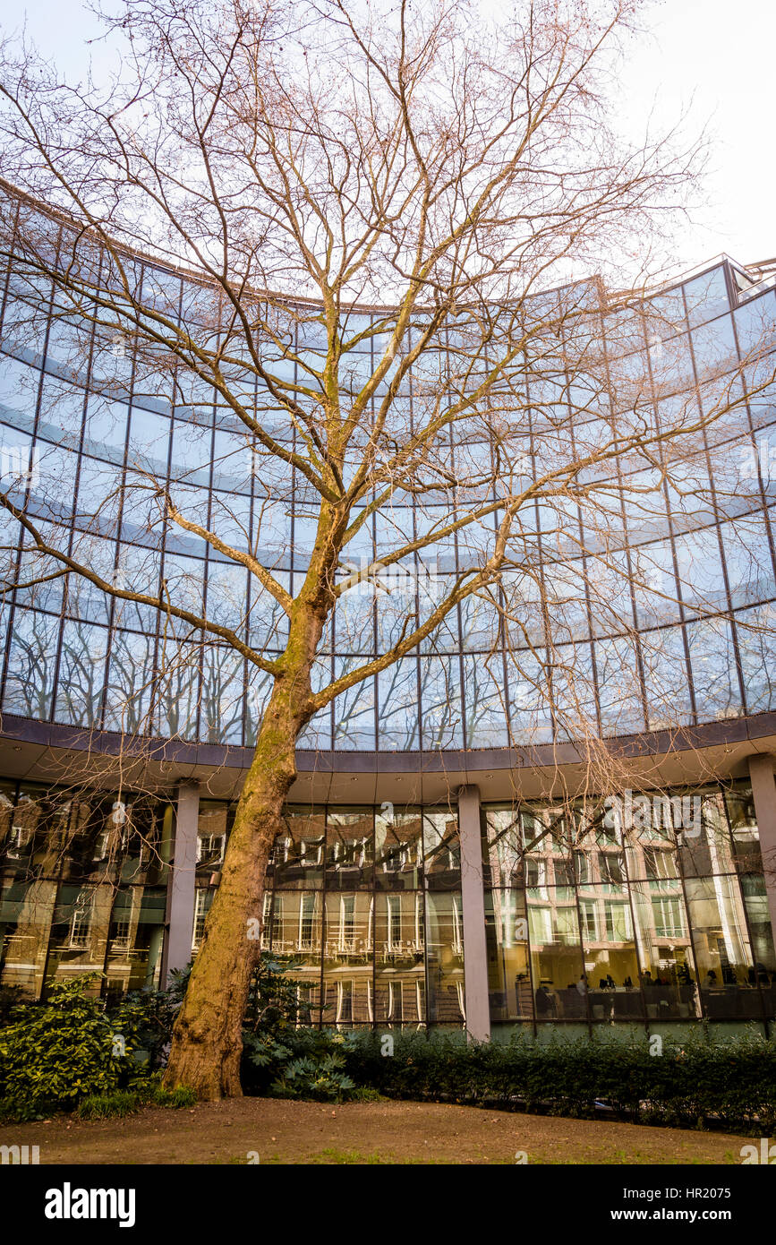 Commercial glass building on Staining Lane from the square of St Mary ...