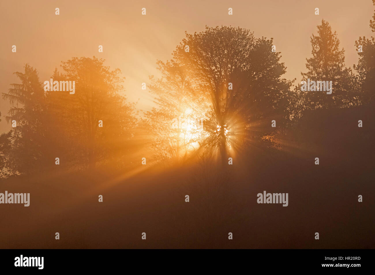 Crepuscular rays at dawn hi-res stock photography and images - Alamy