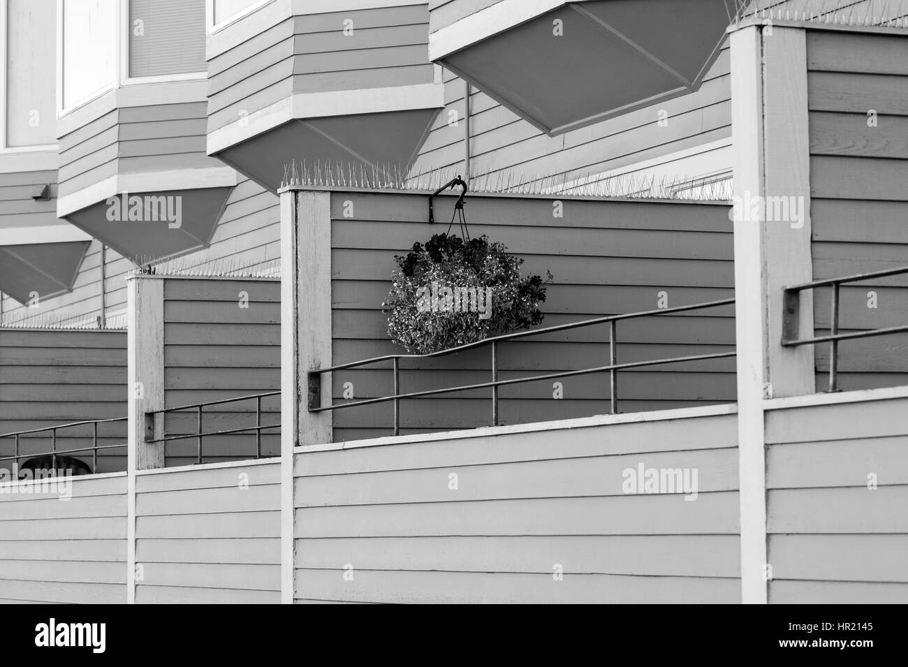 Flower pot wall Black and White Stock Photos & Images - Alamy