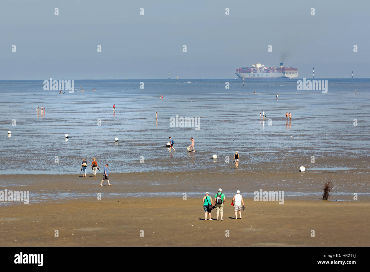 Container ship in the Wadden Sea, Cuxhaven, Lower Saxony, Germany ...