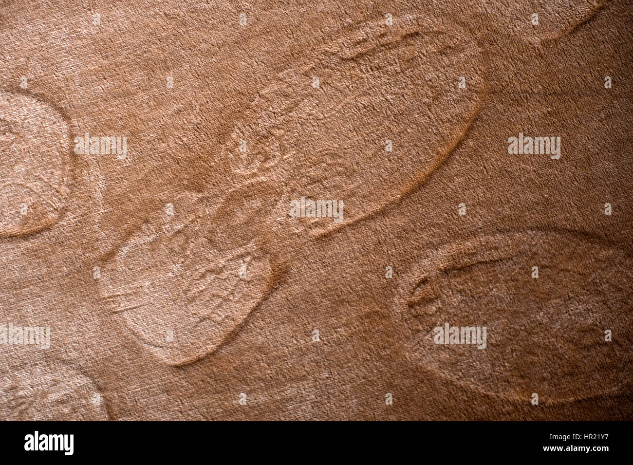 Human shoe imprint on brown mat Stock Photo - Alamy