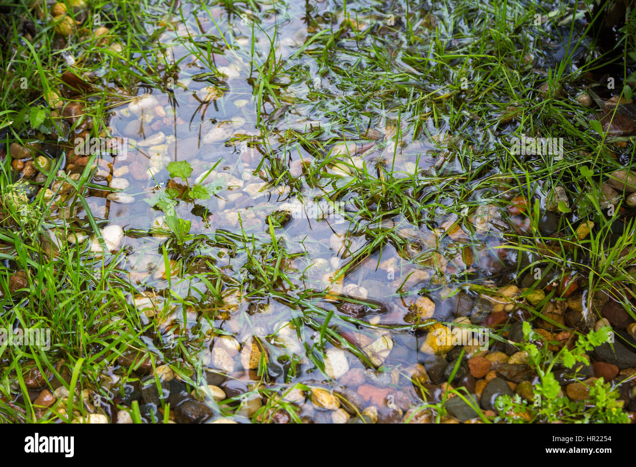 Rock stil hi-res stock photography and images - Alamy