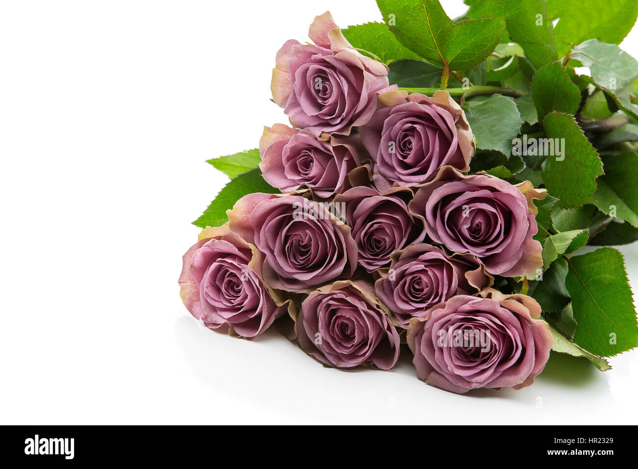 Green tea rose bouquet hi-res stock photography and images - Alamy