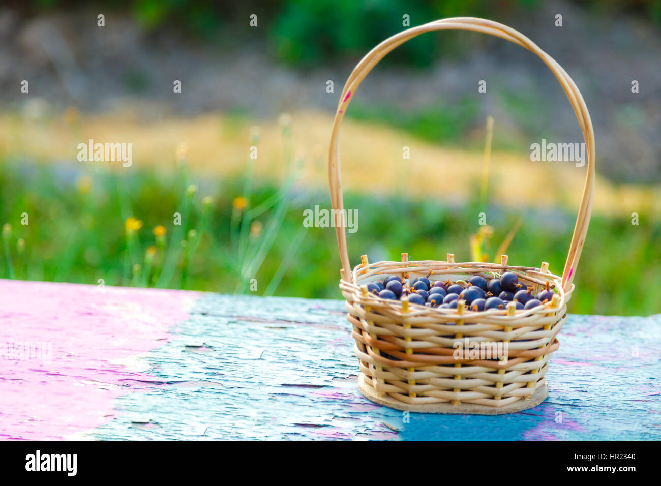 Wicker basket with dark gooseberry on bench Stock Photo - Alamy
