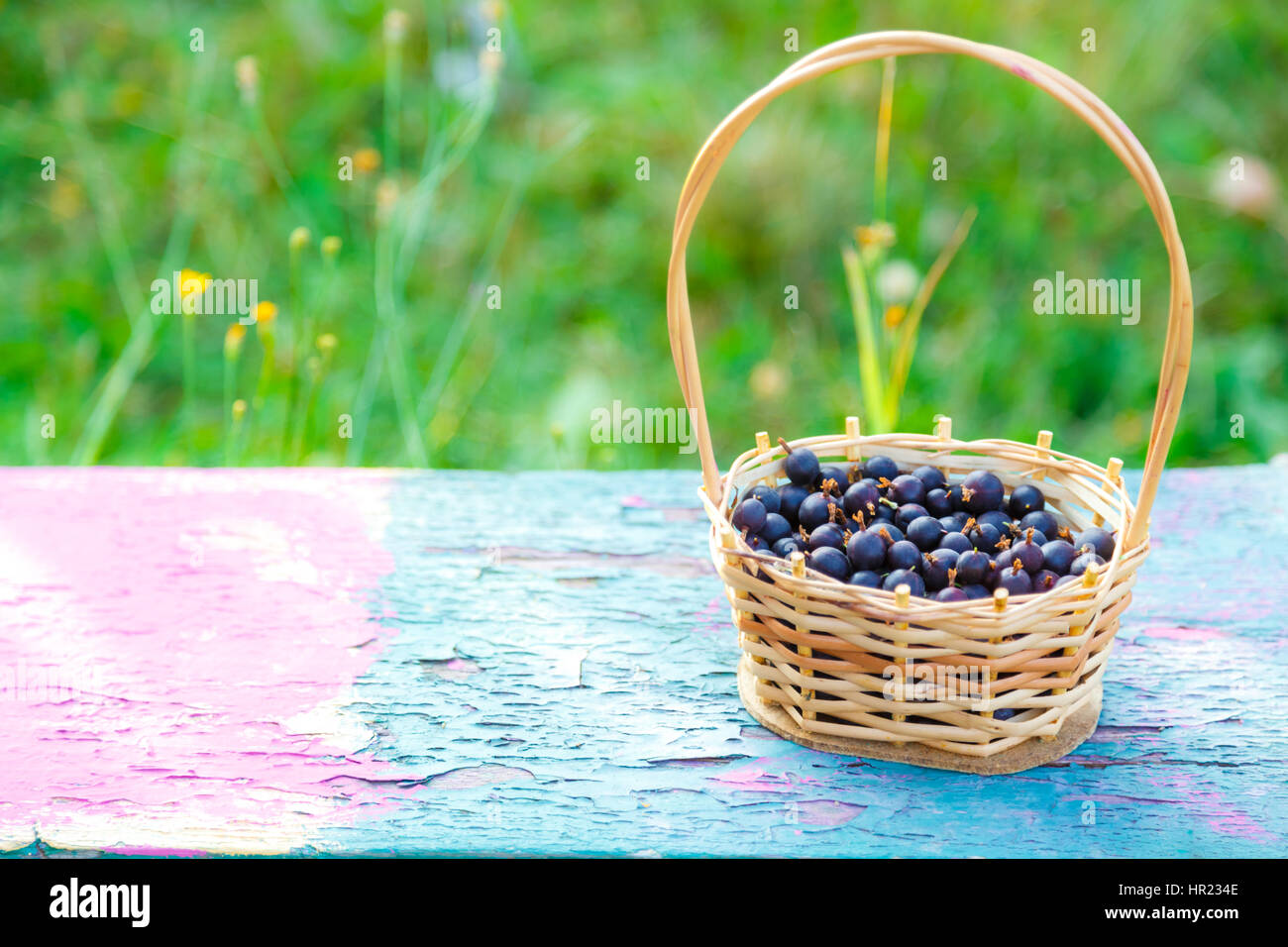 Wicker basket with dark gooseberry on bench Stock Photo - Alamy