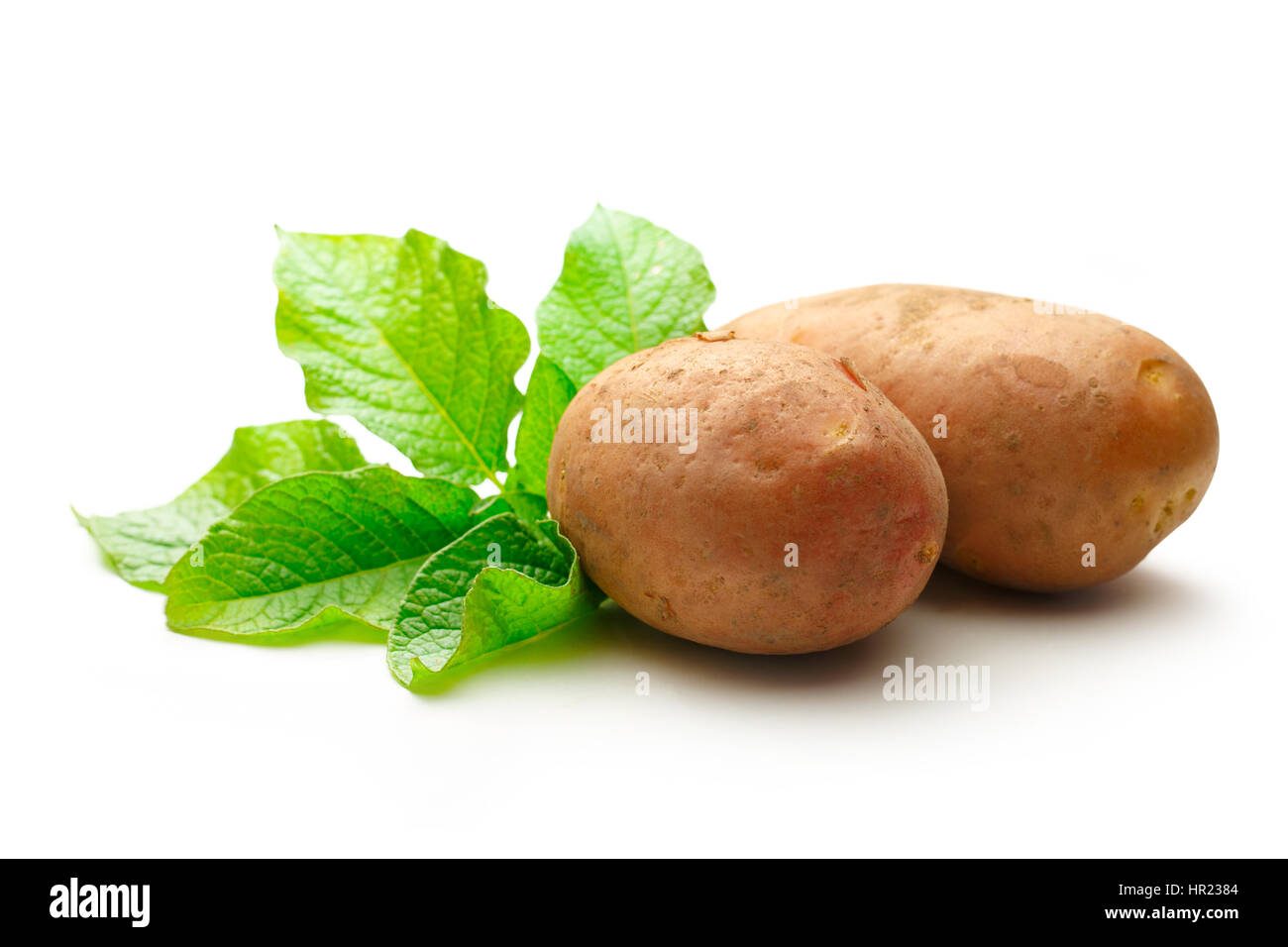 Haulm potato Cut Out Stock Images & Pictures - Alamy