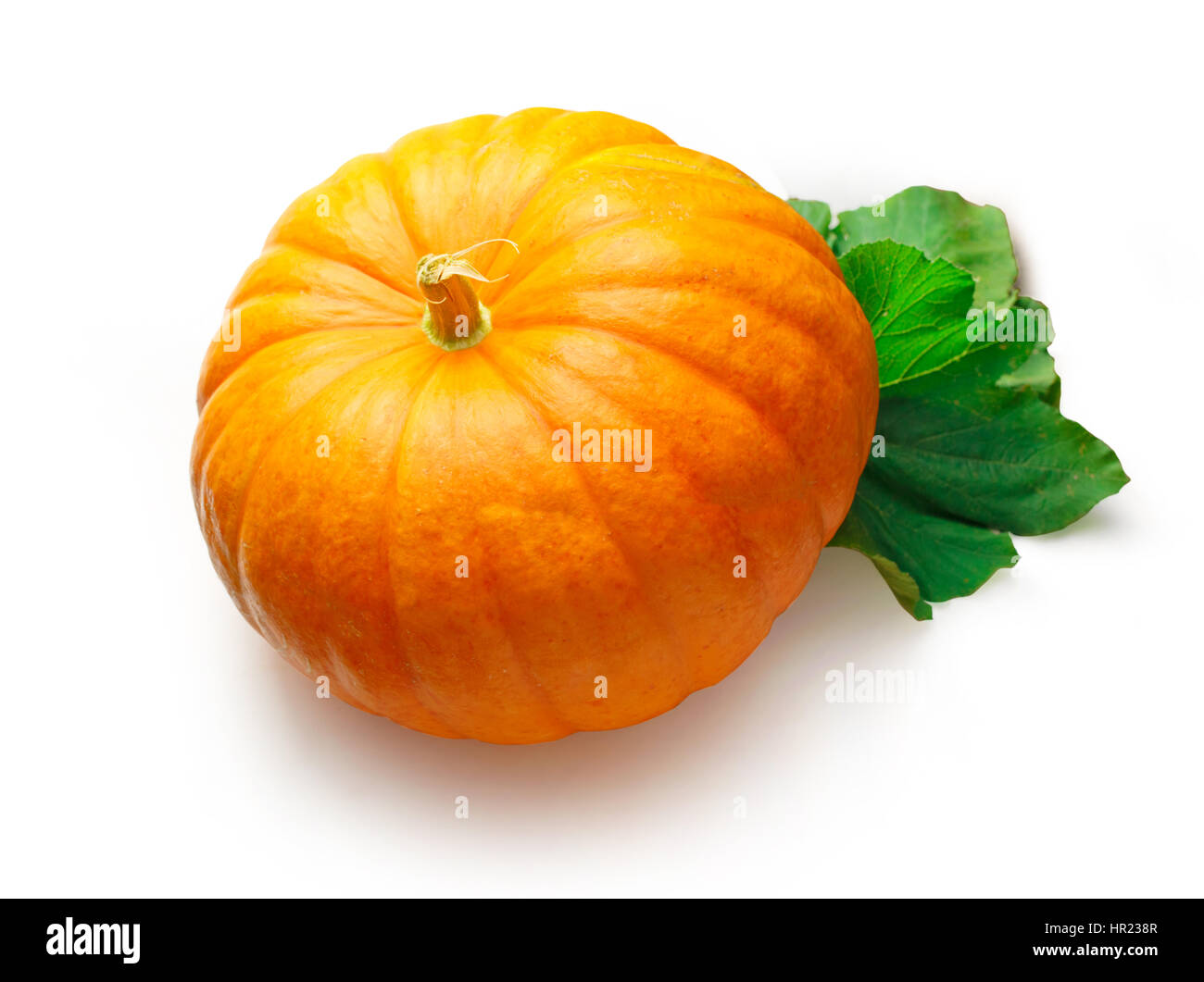One big pumpkin with fresh green leaves Stock Photo - Alamy
