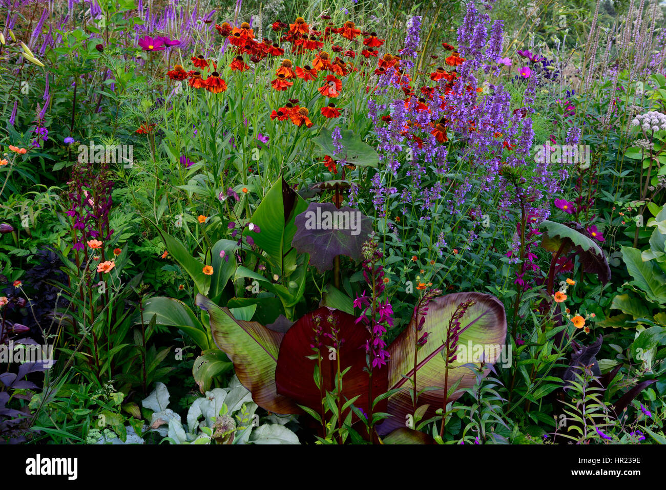 mix, mixed, bed, border,lush, tropical, exotic, hot, planting scheme ...