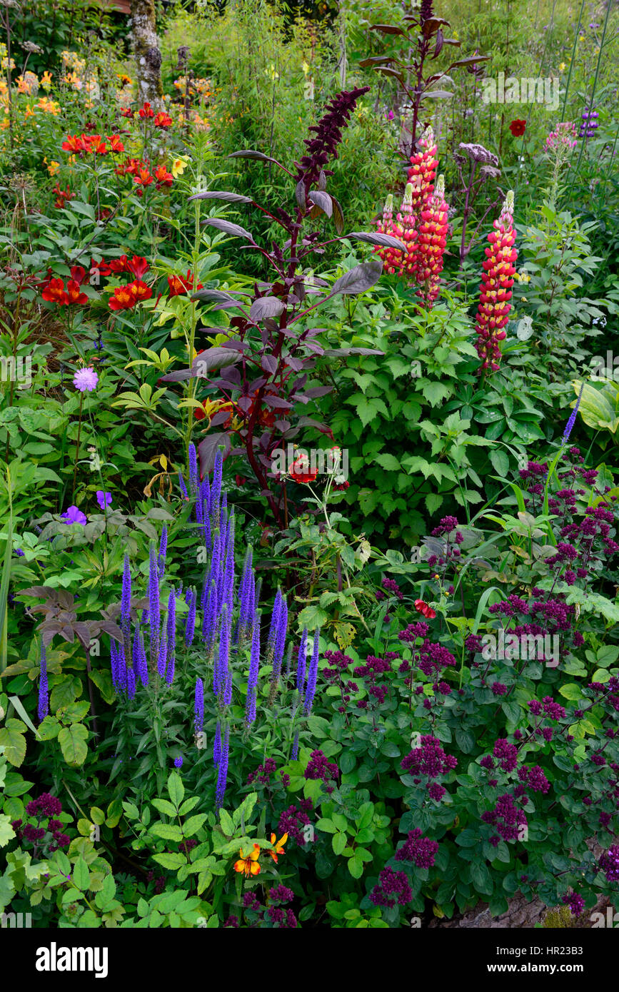 , mix, mixed, bed, border,lush, tropical, exotic, hot, planting scheme ...