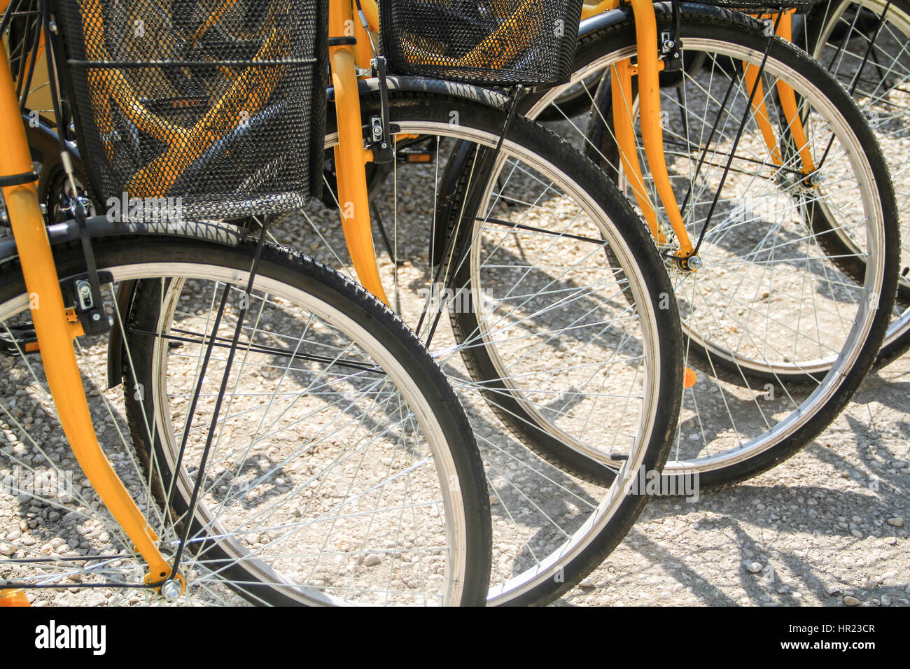 Different wheels bicycle Stock Photo - Alamy