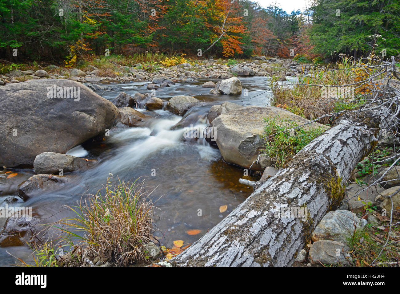 Inside adirondack blue line hi-res stock photography and images - Alamy