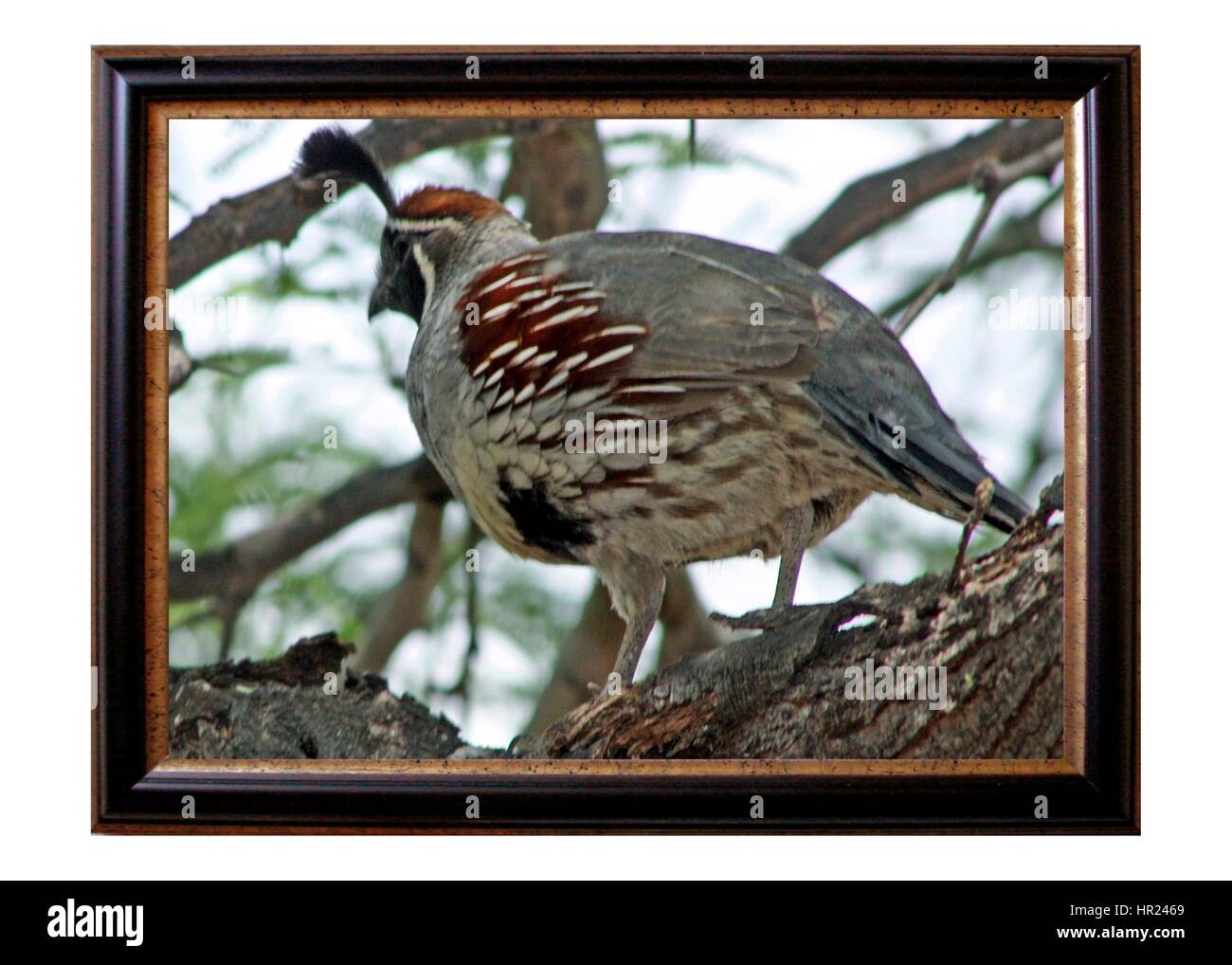 Beautiful variety of colors hi-res stock photography and images - Alamy