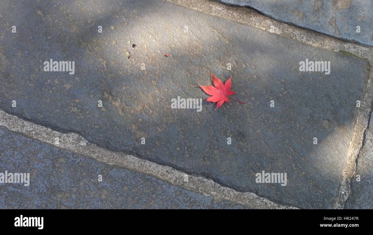 Red Earth Ground High Resolution Stock Photography and Images - Alamy