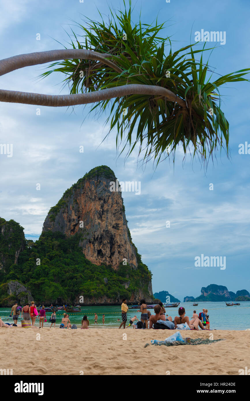 Limestone beach hi-res stock photography and images - Alamy