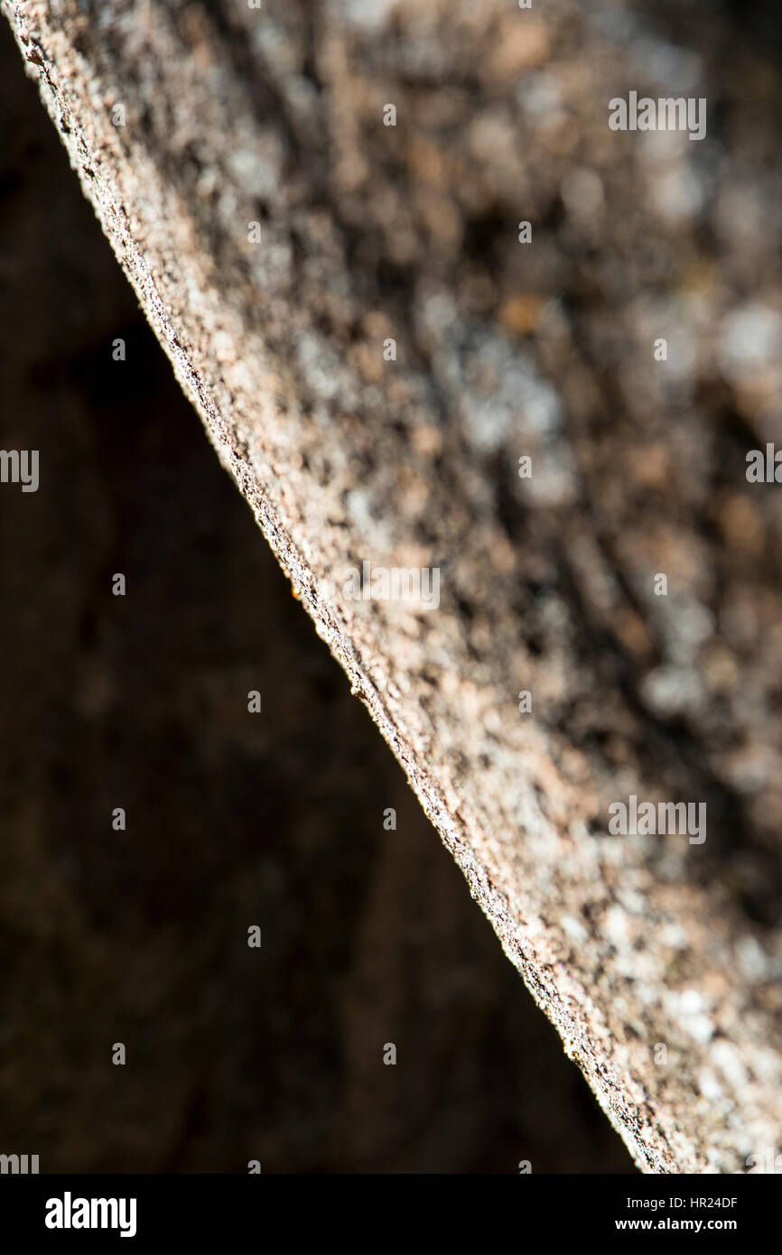 Close-up of rock walls popular with climbers; Penitente Canyon ...