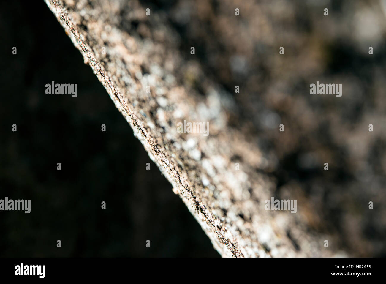 Close-up of rock walls popular with climbers; Penitente Canyon ...