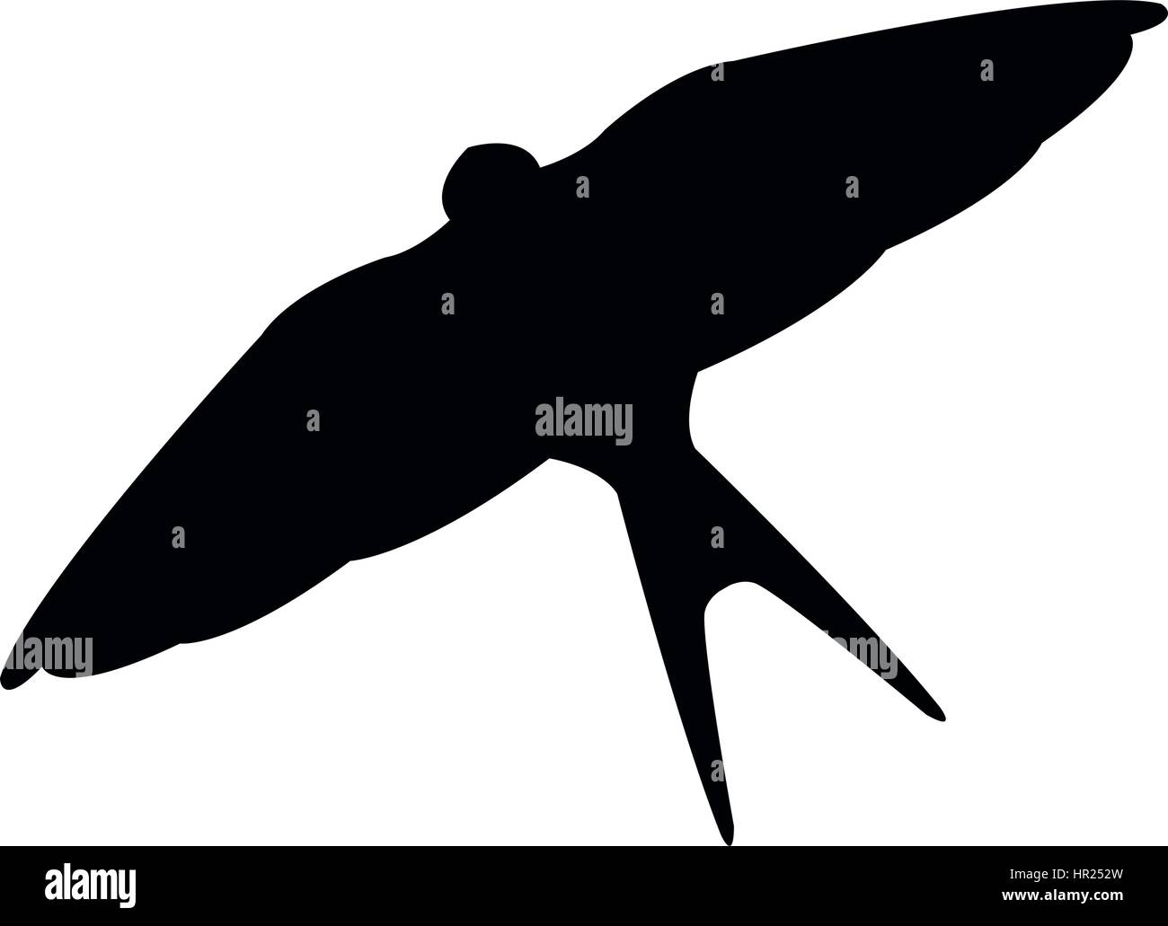 Swallow icon illustrated on a white background in vector Stock Vector ...