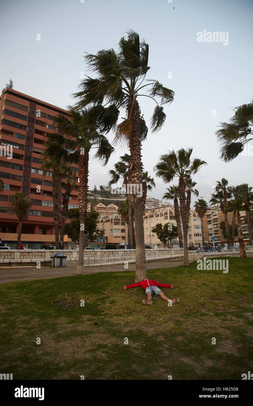 A man resting under a palm tree in a park. Malaga, Andalusia, Spain ...