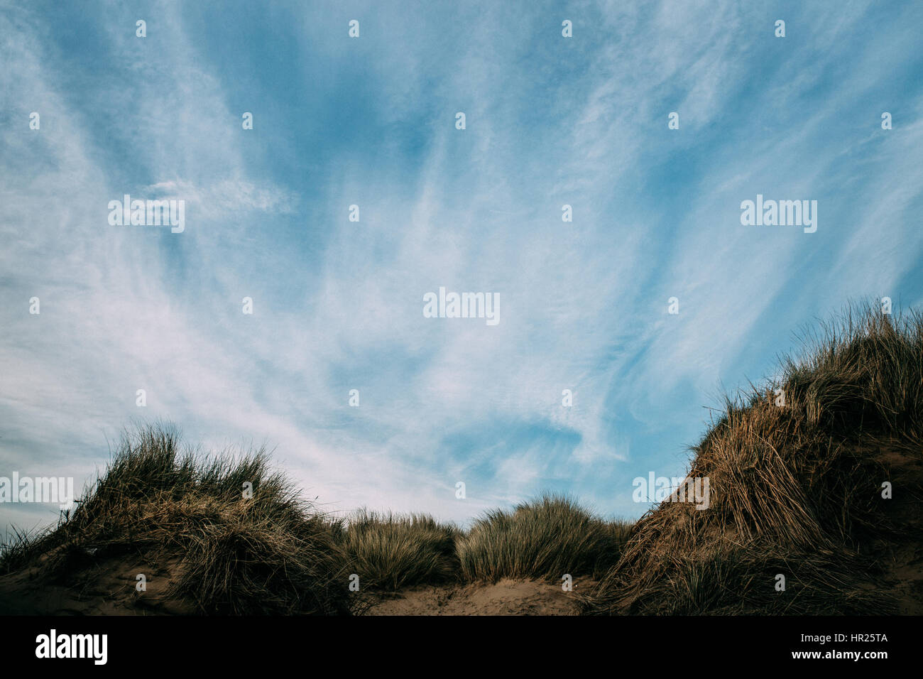 The Sand Dunes At Formby Point, Liverpool, UK Stock Photo - Alamy