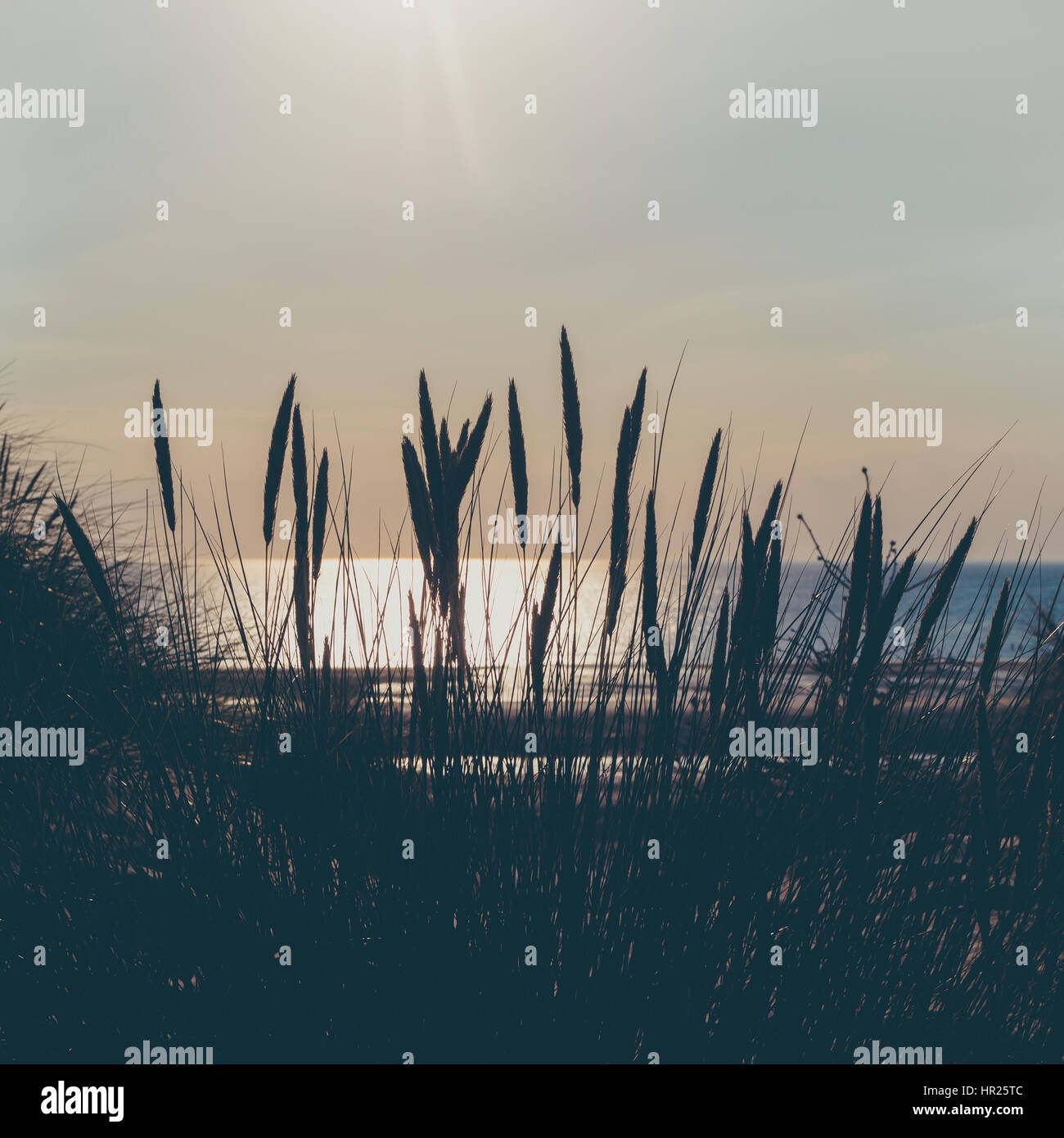 Formby Point Beach High Resolution Stock Photography and Images - Alamy