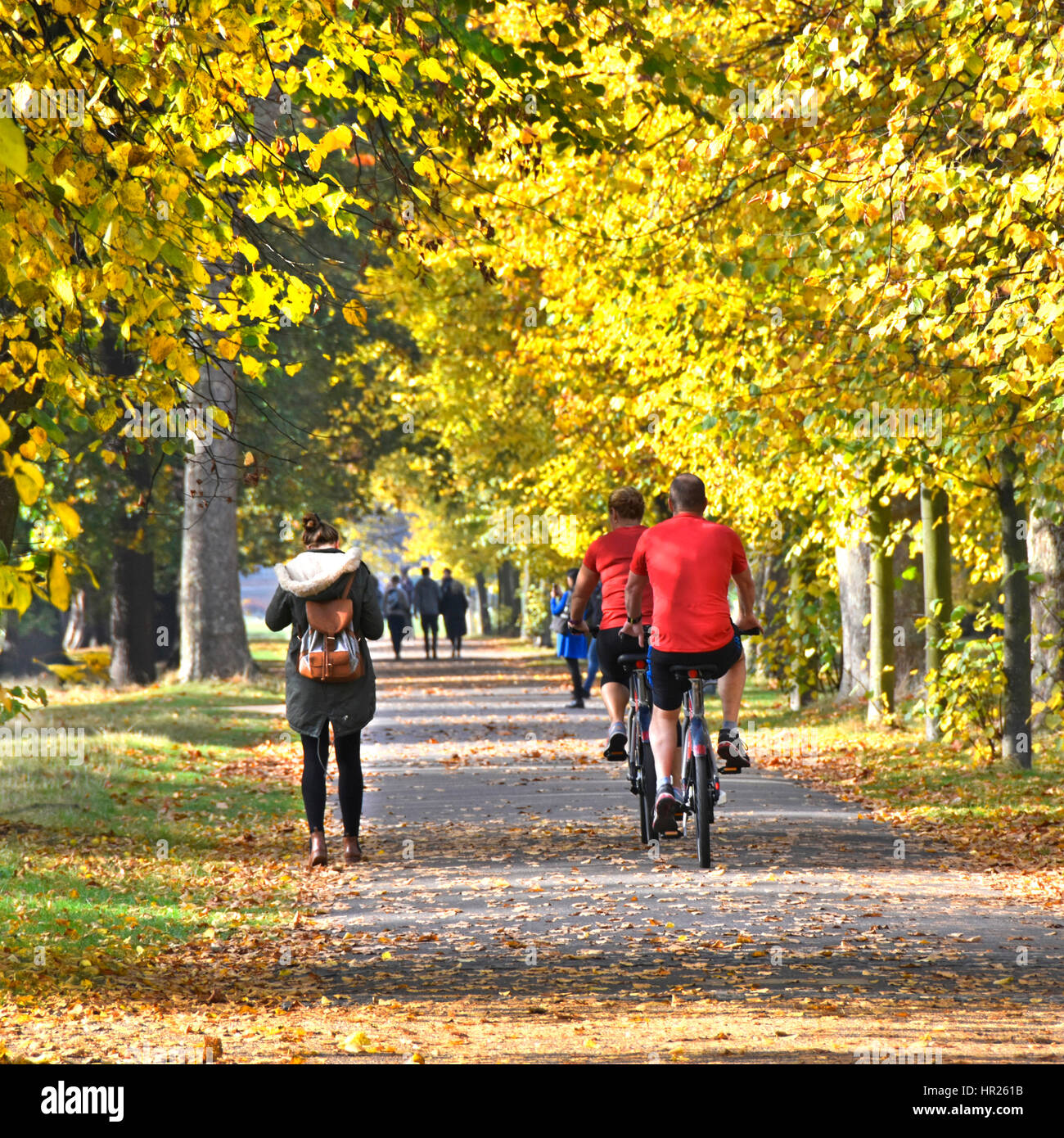Shared bicycle pedestrian path hi-res stock photography and images - Alamy