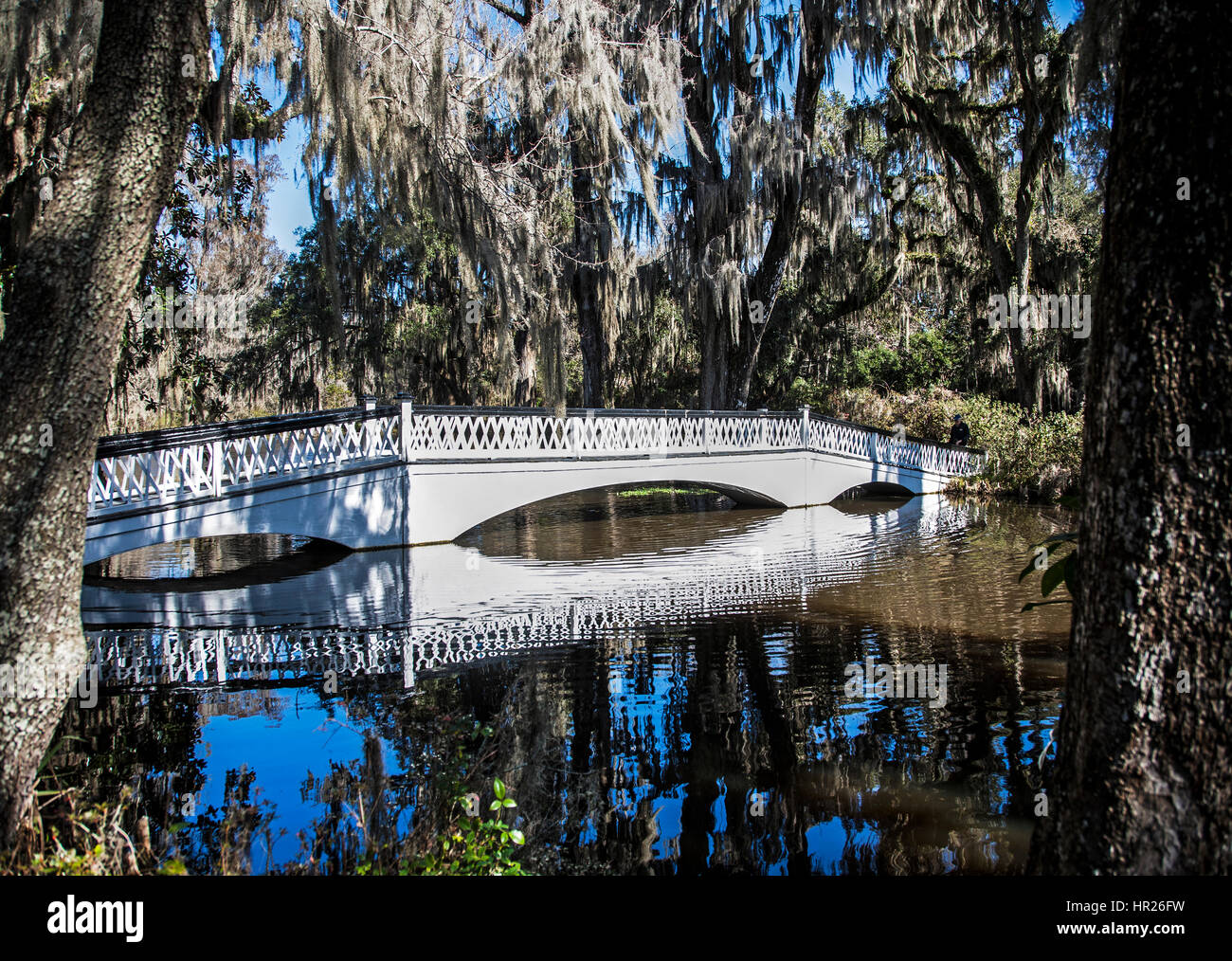 White garden bridge over a pond at the Magnolia plantation and ...