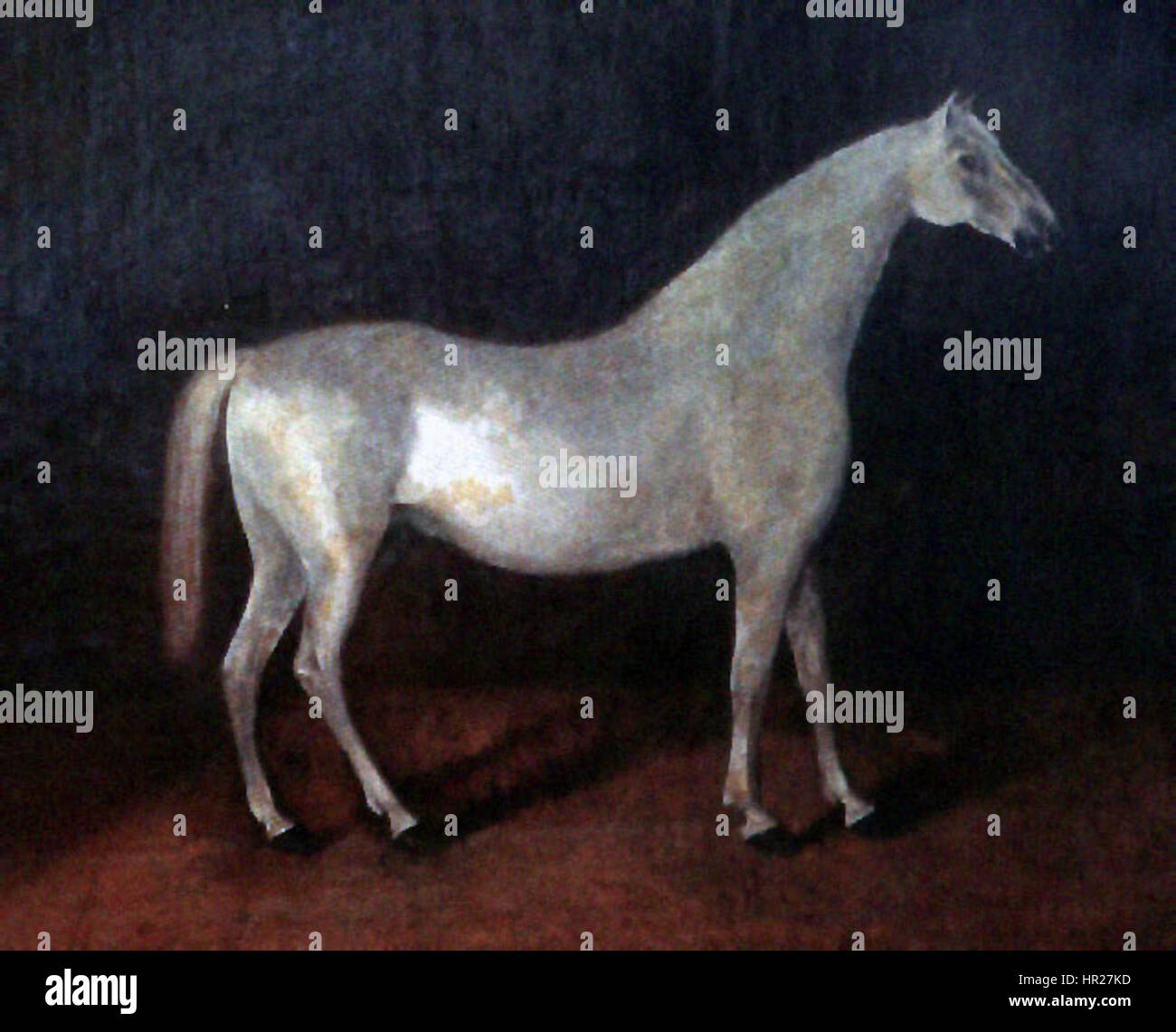 Orlov museum hi-res stock photography and images - Alamy